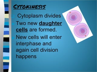 Cell-Division.ppt.pdf PowerPoint presentation | PDF