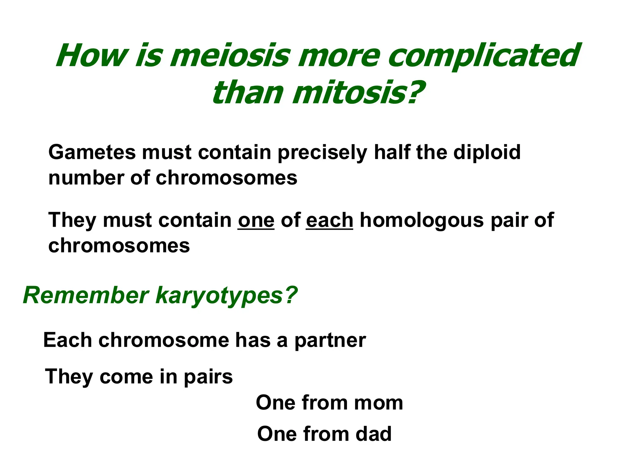 Cell Division: interphase, cell cycle, mitosis vs. meiosis | PDF
