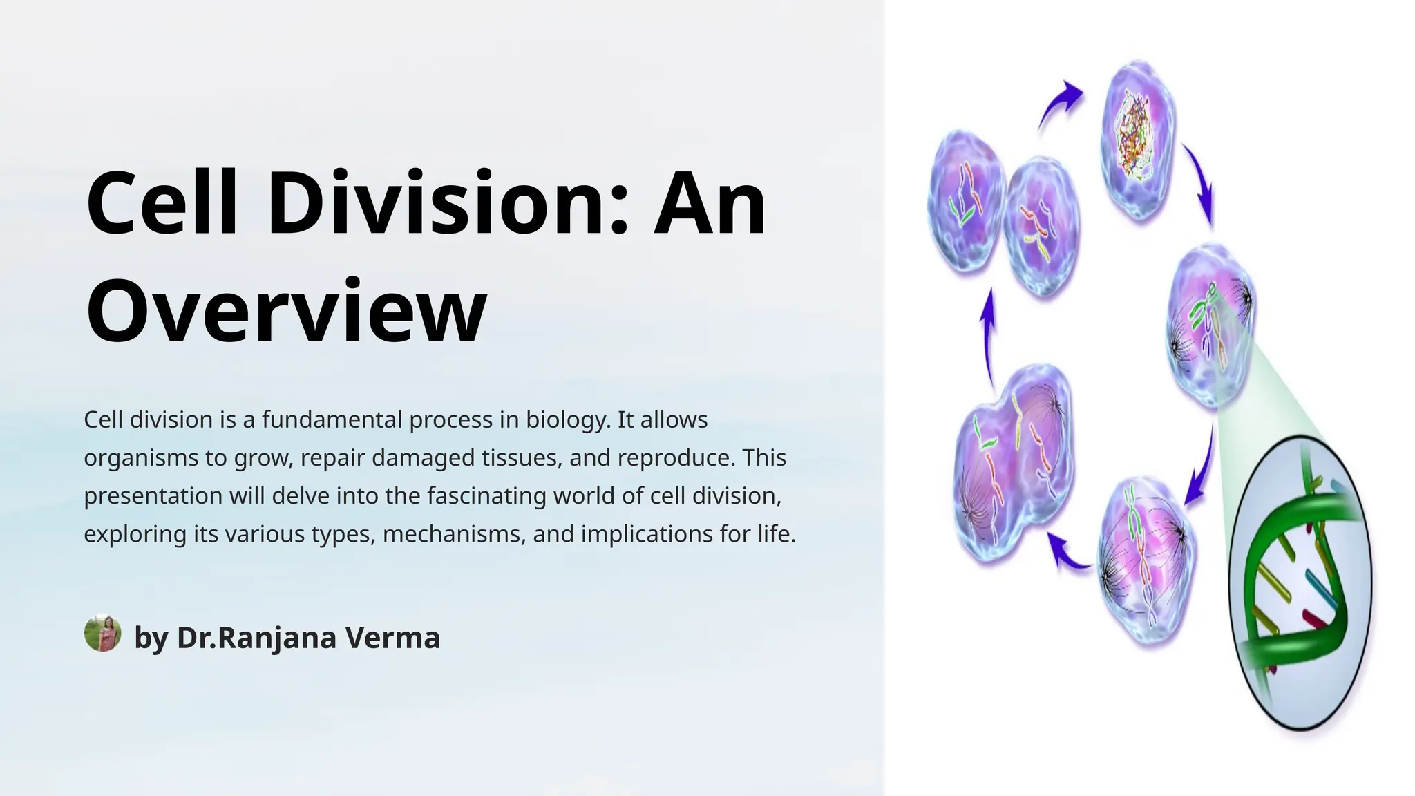 Cell-Division (Mitosis and meiosis)-An-Overview.pptx