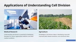 Cell-Division (Mitosis and meiosis)-An-Overview.pptx