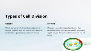 Cell-Division (Mitosis and meiosis)-An-Overview.pptx
