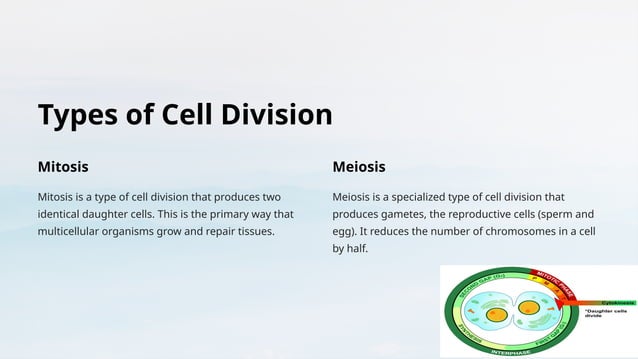 Cell-Division (Mitosis and meiosis)-An-Overview.pptx
