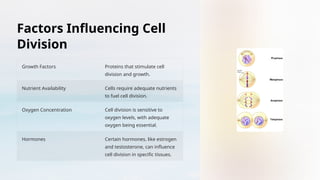 Cell-Division (Mitosis and meiosis)-An-Overview.pptx