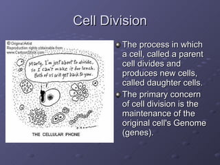 Cell Division And Reproduction | PPT