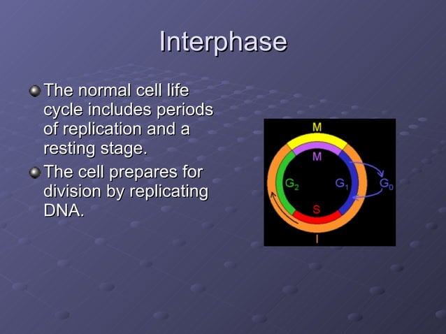Cell Division And Reproduction | PPT