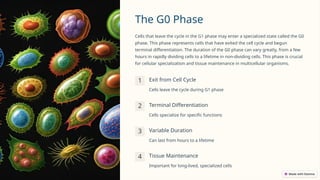 Eukaryotic Cell-Division-and-the-Cell-Cycle.pptx