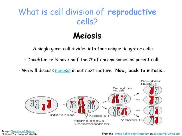 Cell-Division-Mitosis-Biology-Lecture-PowerPoint-VCBCct.ppsx
