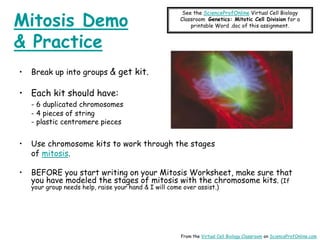Cell-Division-Mitosis-Biology-Lecture-PowerPoint-VCBCct.ppsx ...