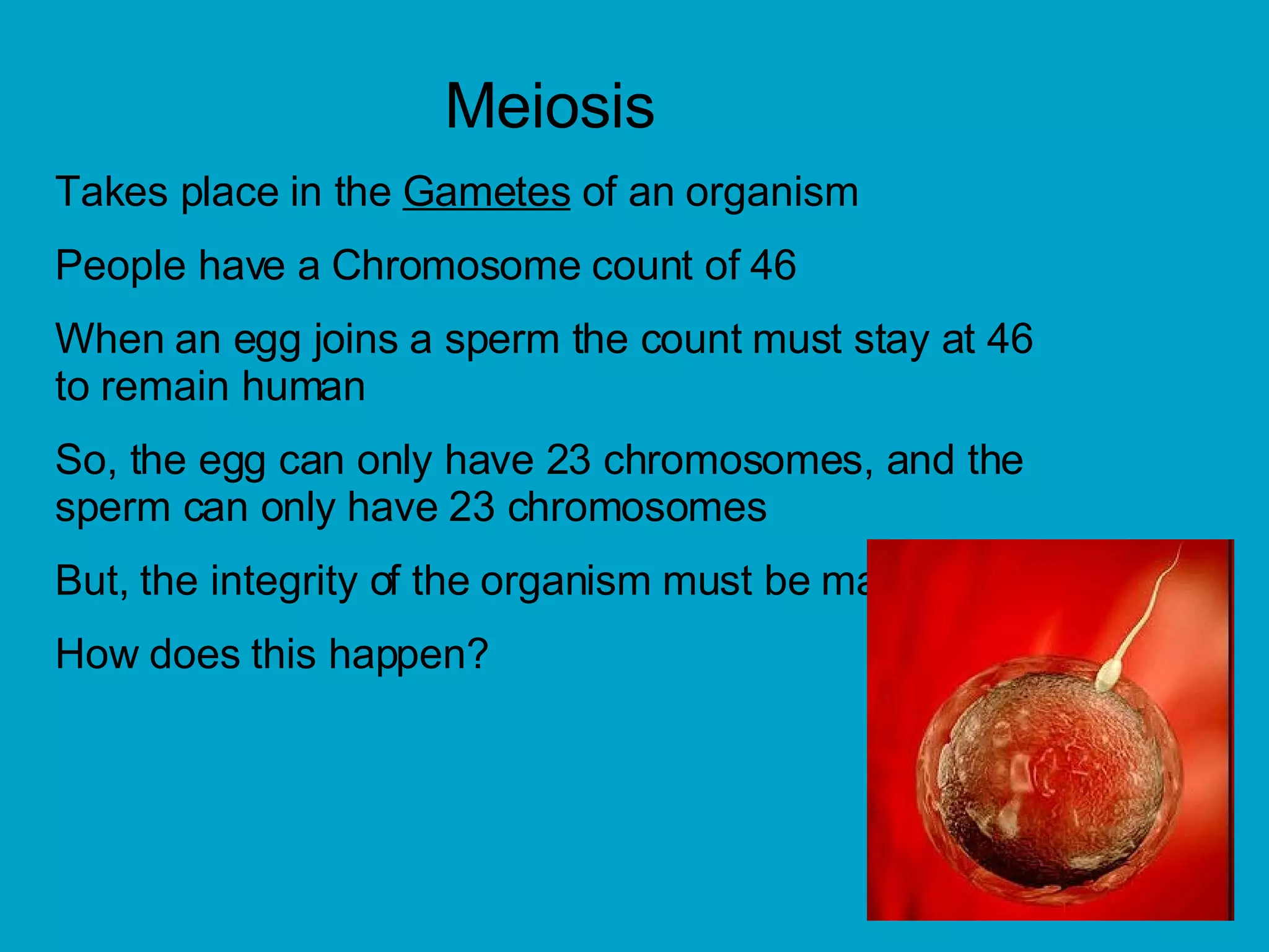 Cell Division Mitosis and Meiosis | PPT