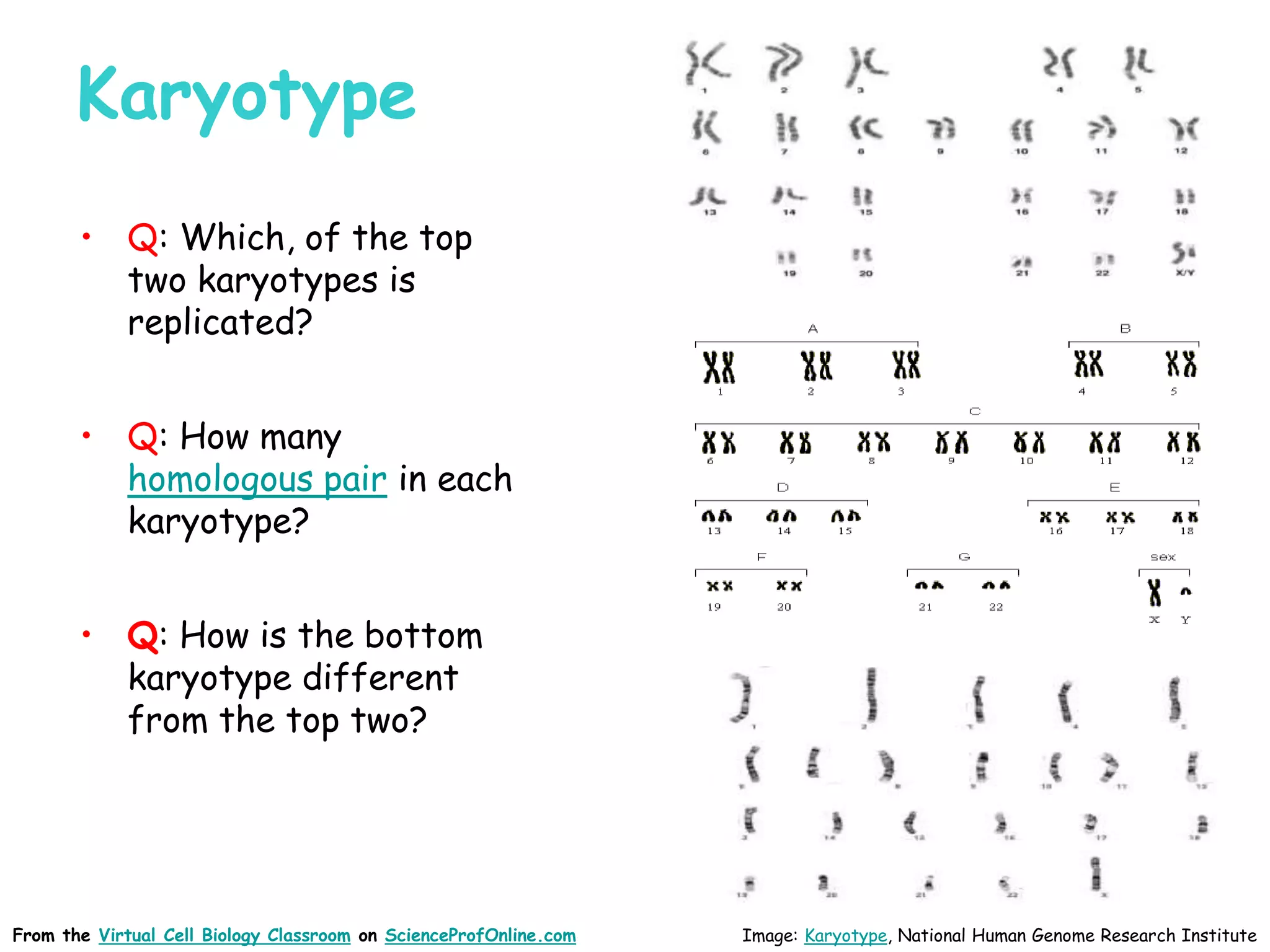 Cell division-mitosis-meiosis-biology-lecture-power point-vcb-cct | PPT