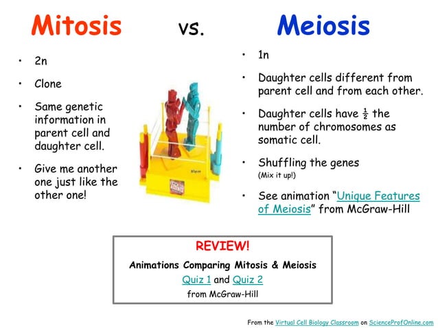 Cell division-mitosis-meiosis-biology-lecture-power point-vcb-cct | PPT