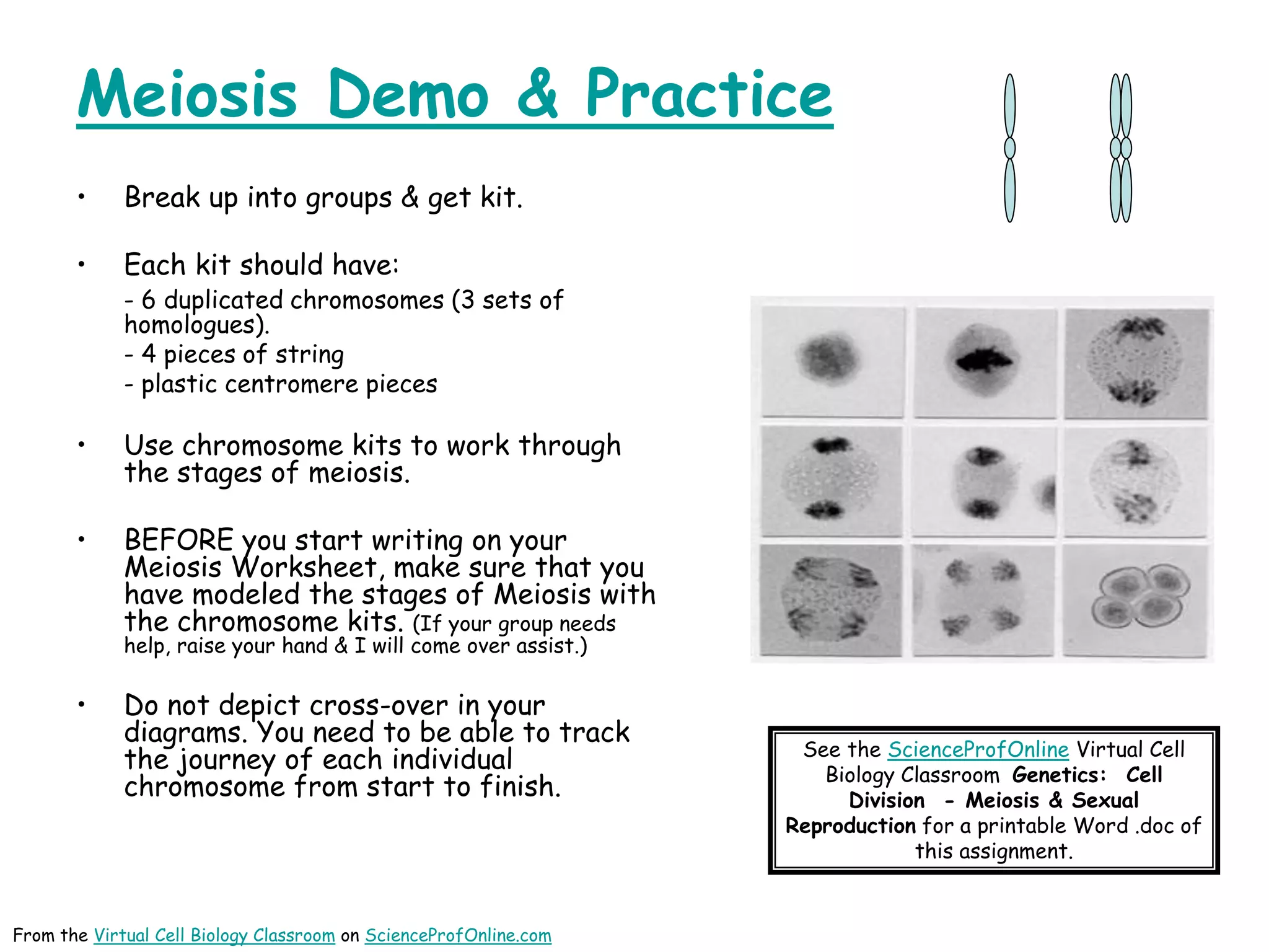 Cell division-mitosis-meiosis-biology-lecture-power point-vcb-cct | PPT