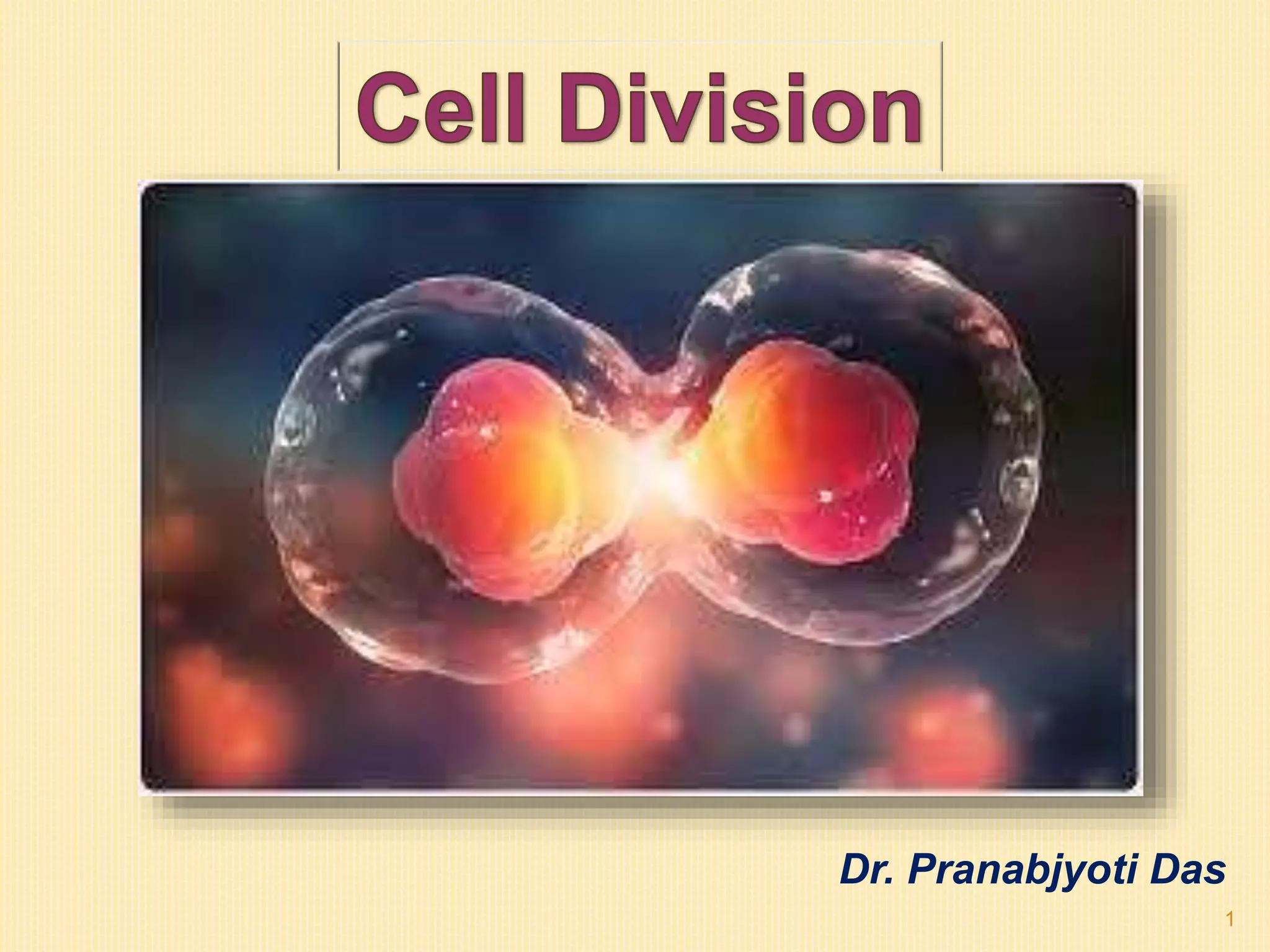Cell Division | PPTX