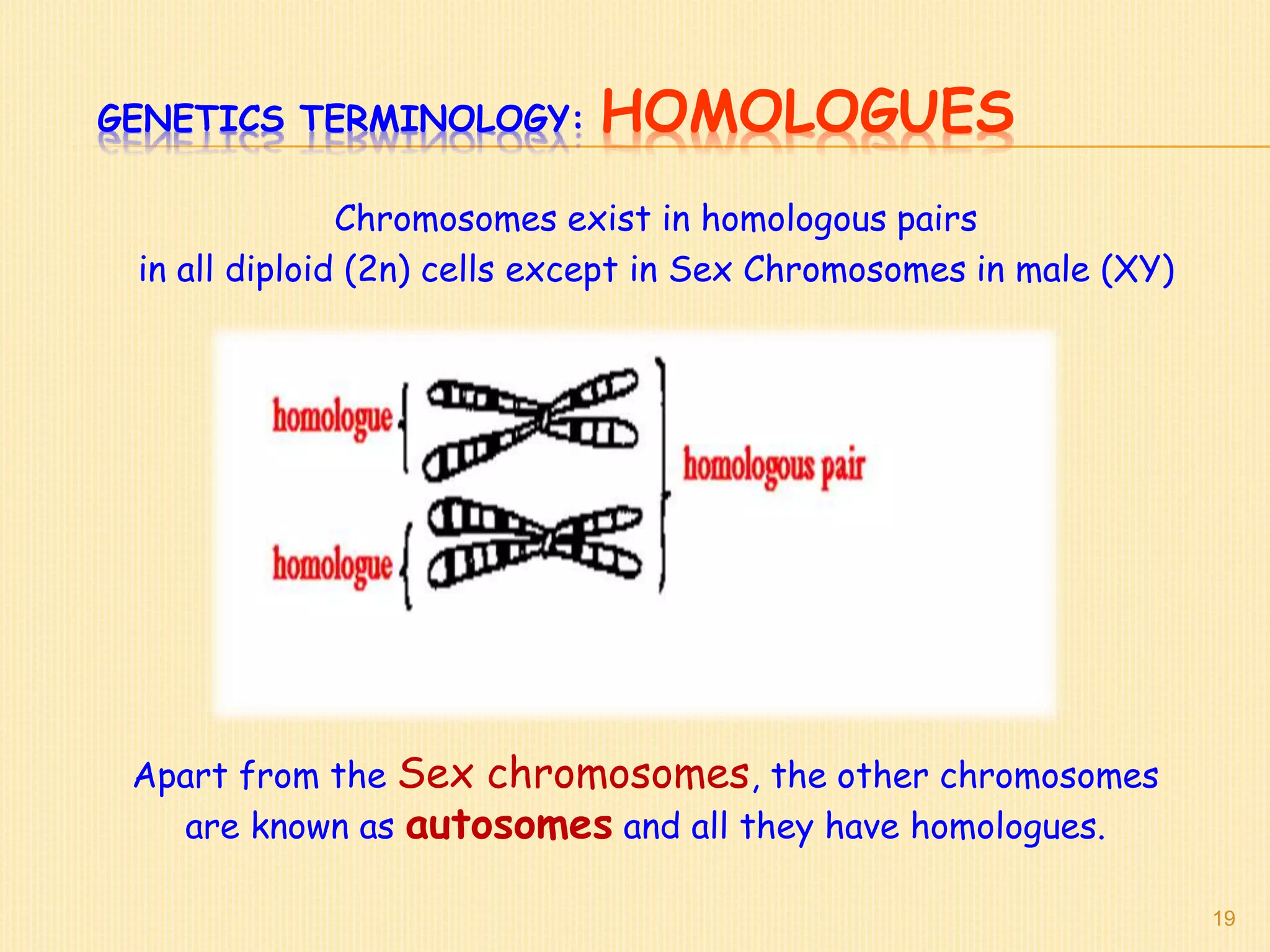Cell Division | PPTX