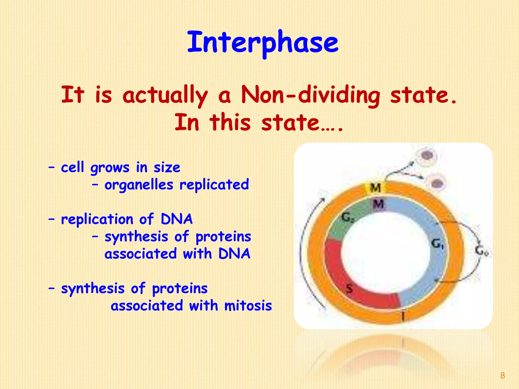 Cell Division | PPTX