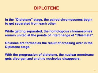 Cell Division | PPTX