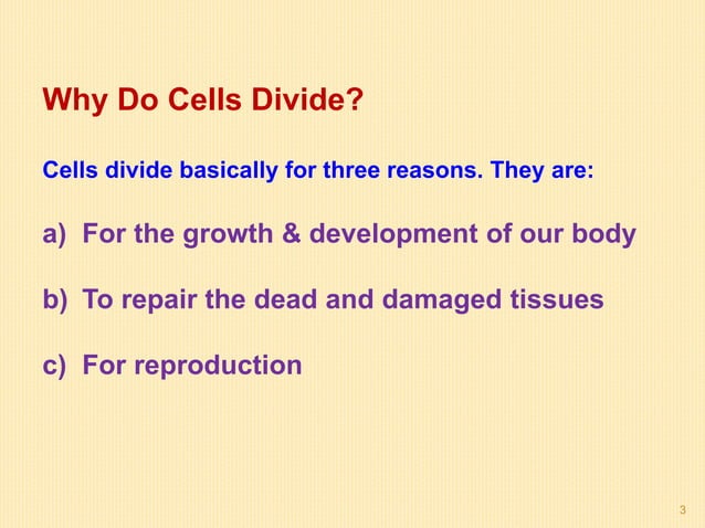 Cell Division | PPTX