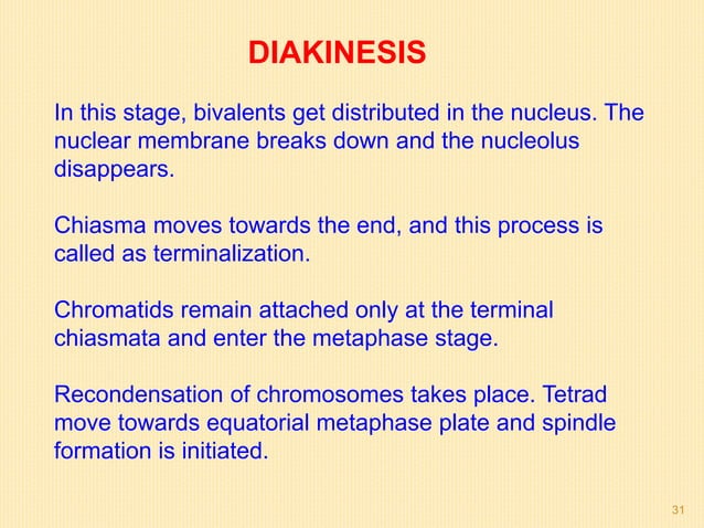 Cell Division | PPTX