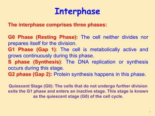 Cell Division | PPTX