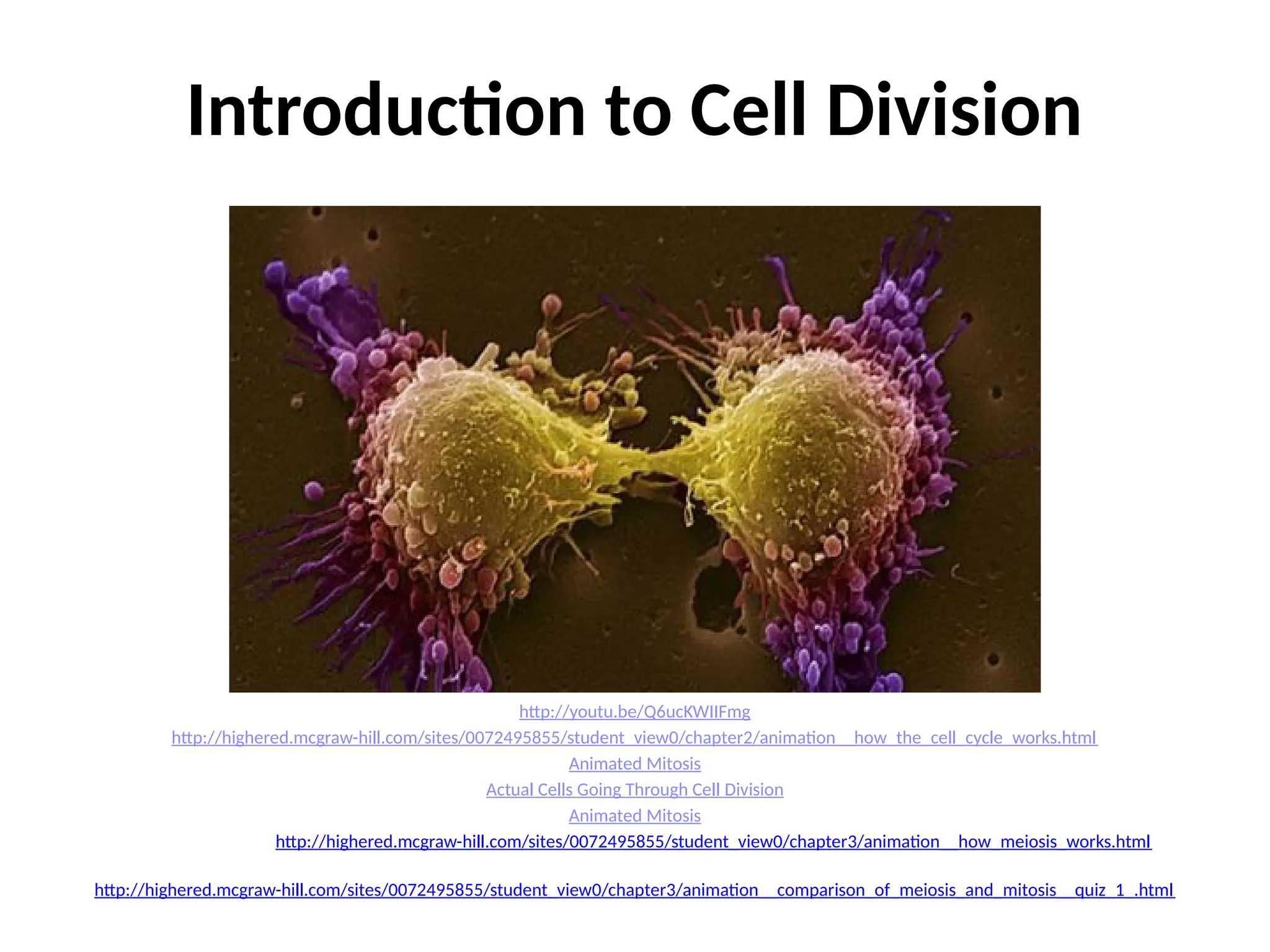 SCIENCE-Cell-Division-Mitosis-Meiosis-ppt.pptx