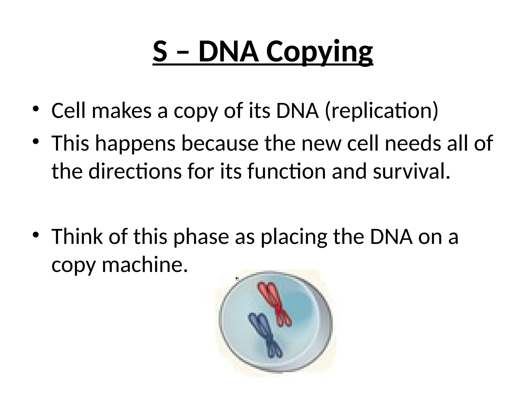 SCIENCE-Cell-Division-Mitosis-Meiosis-ppt.pptx
