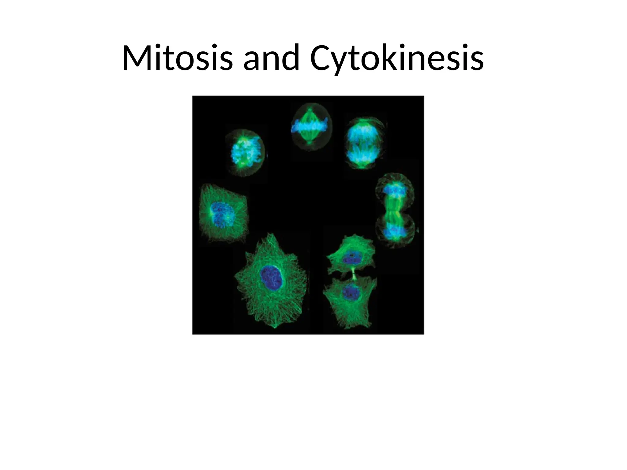 SCIENCE-Cell-Division-Mitosis-Meiosis-ppt.pptx