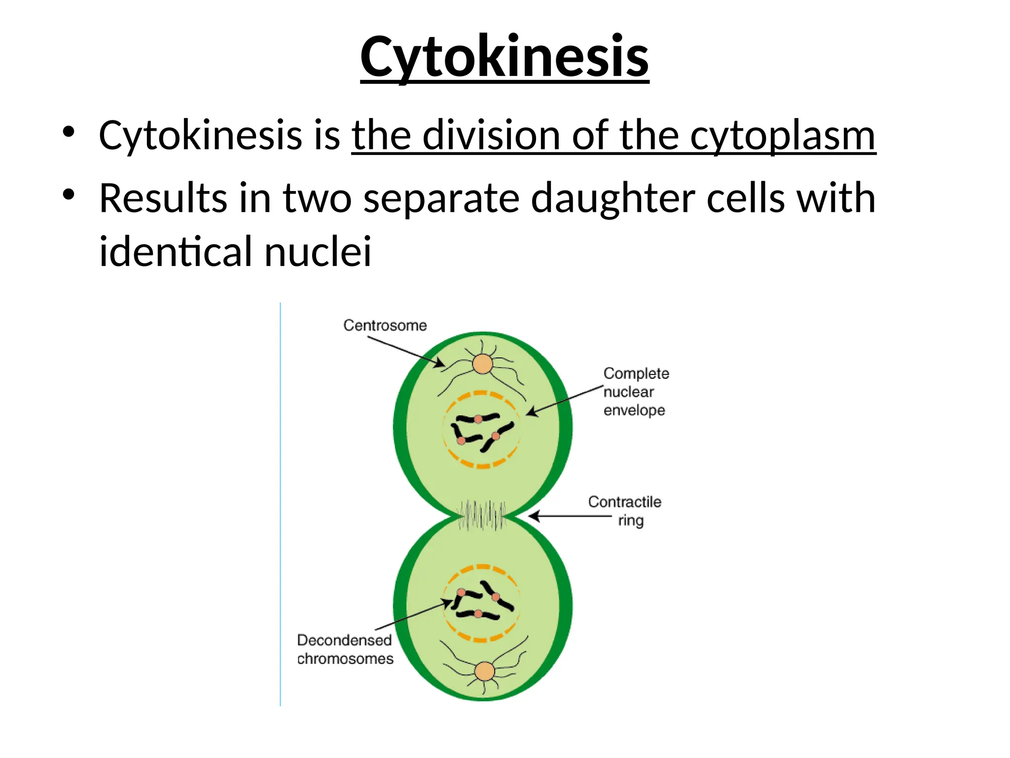 SCIENCE-Cell-Division-Mitosis-Meiosis-ppt.pptx