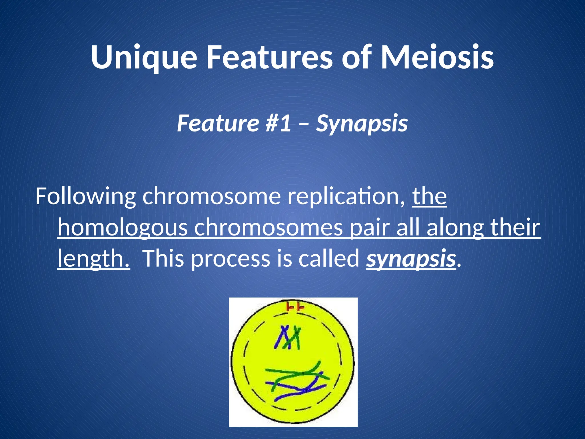 SCIENCE-Cell-Division-Mitosis-Meiosis-ppt.pptx