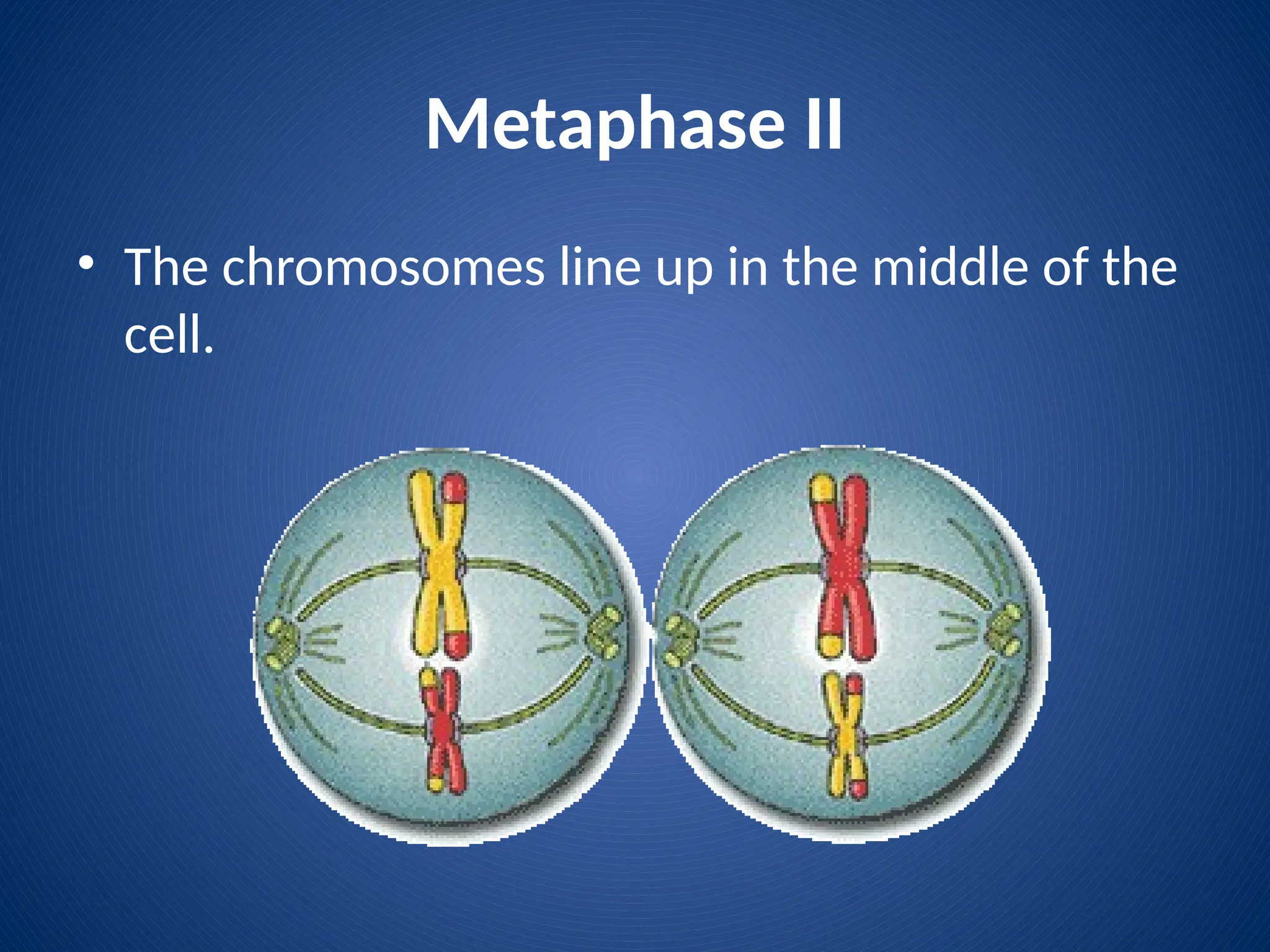 SCIENCE-Cell-Division-Mitosis-Meiosis-ppt.pptx