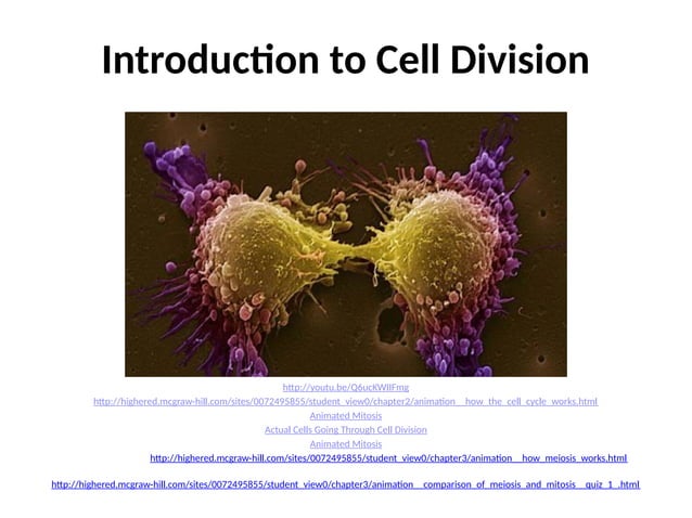SCIENCE-Cell-Division-Mitosis-Meiosis-ppt.pptx