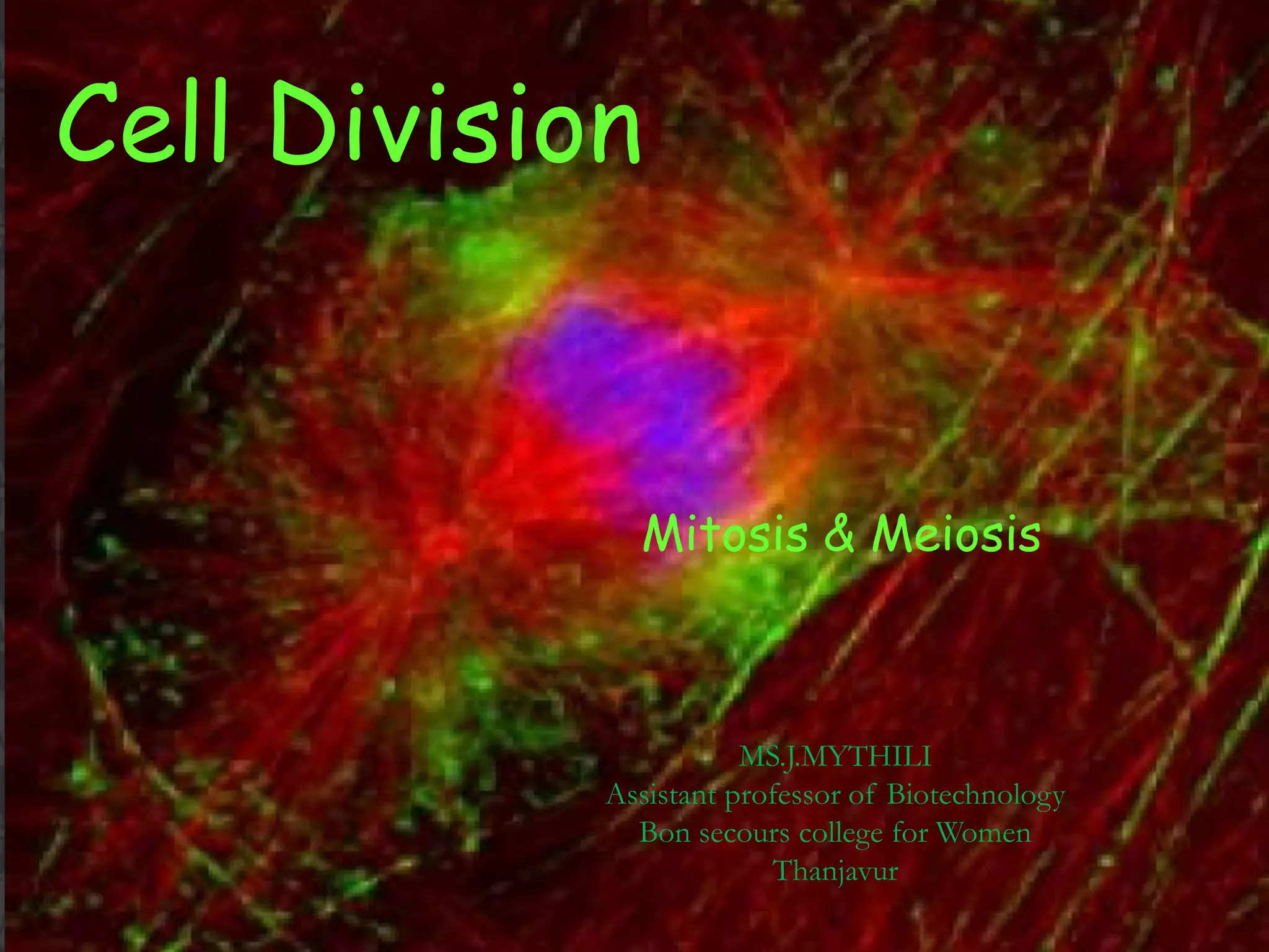 cell-division-mitosis-meiosis 2023-2024.pptx