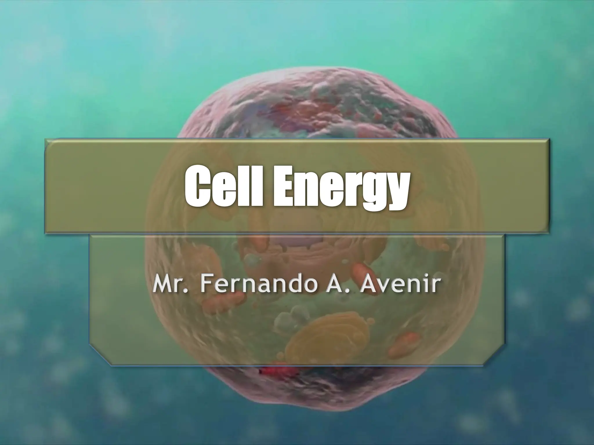 cell-energy-ppt-1.pptx | Biological Sciences | Science
