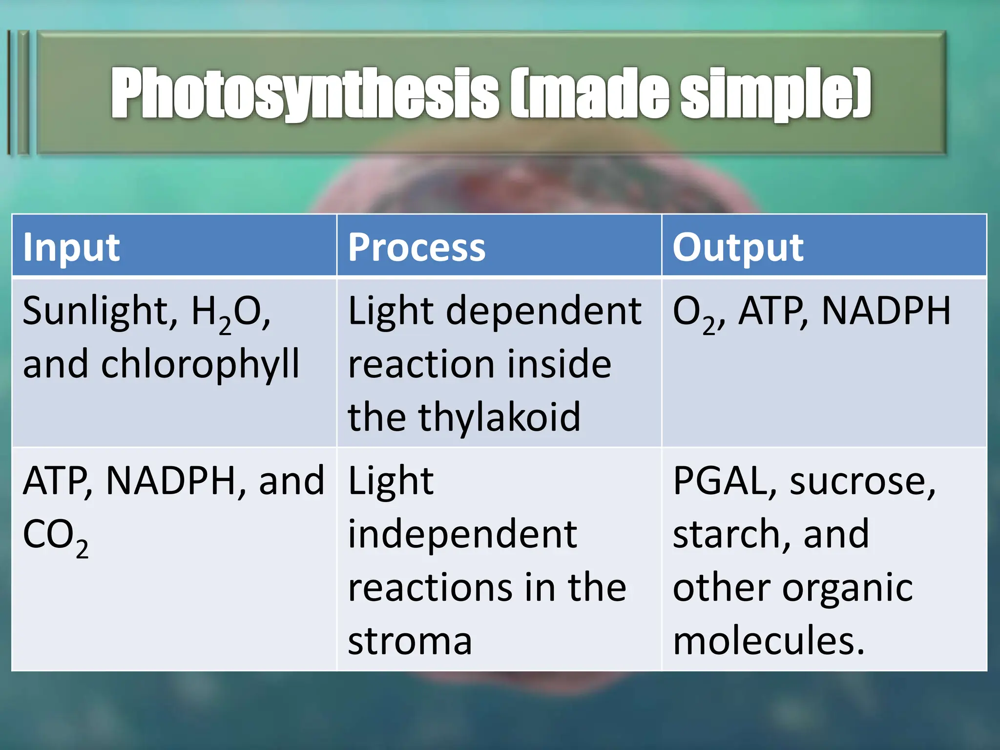 cell-energy-ppt-1.pptx