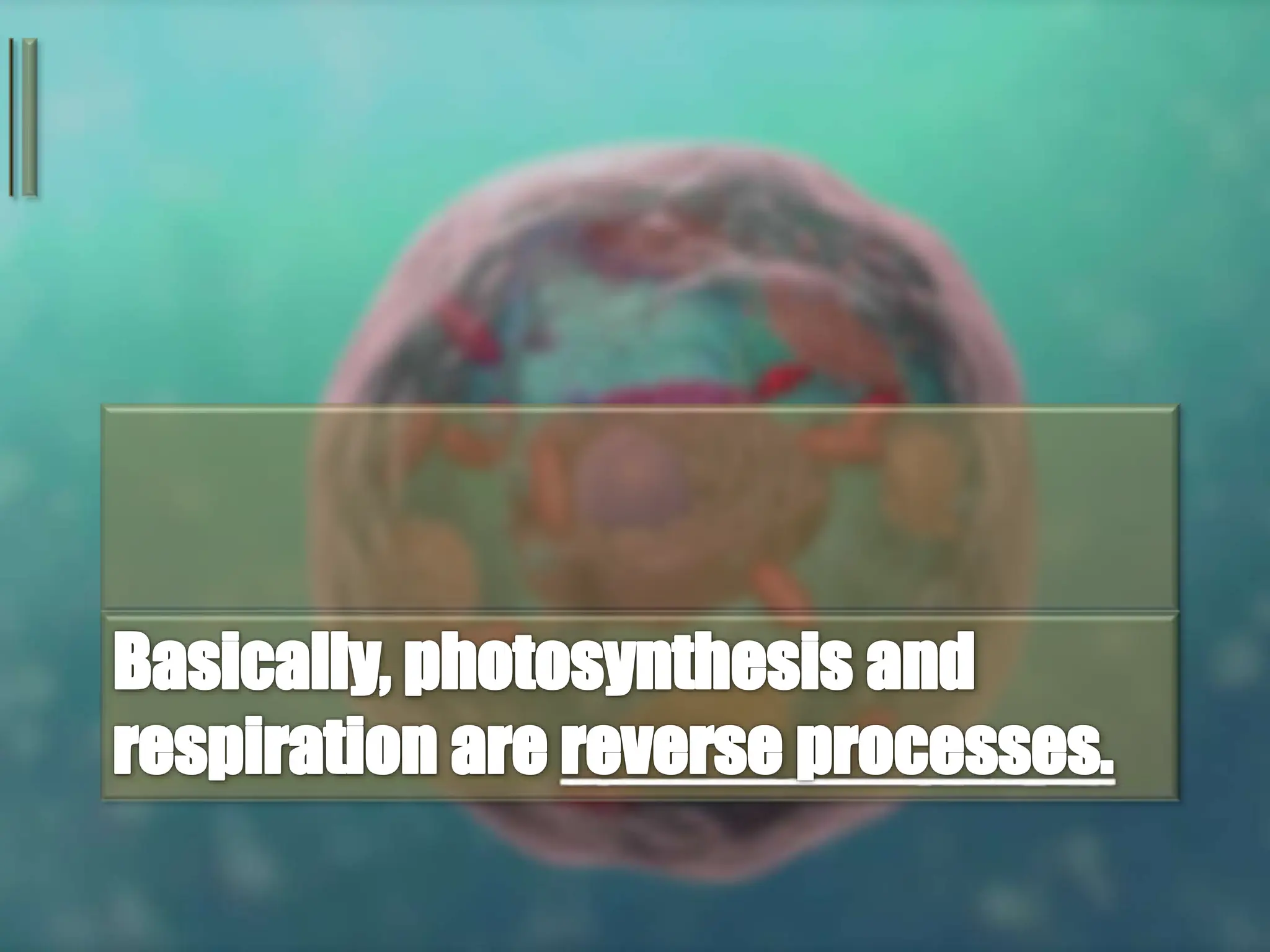 cell-energy-ppt-1.pptx