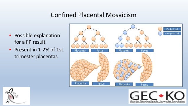 Cell free fetal dna testing for prenatal diagnosis