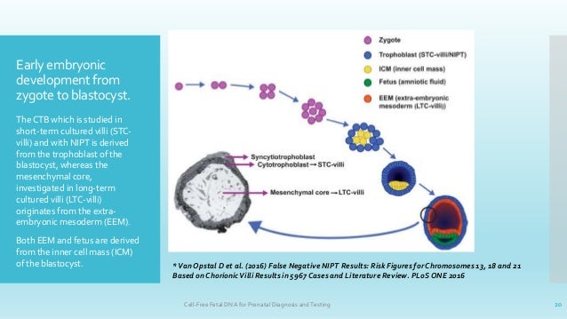 Cell free fetal dna testing for prenatal diagnosis