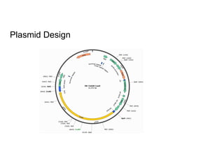 cell-Free Systems.pdf