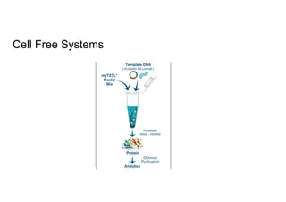 cell-Free Systems.pdf