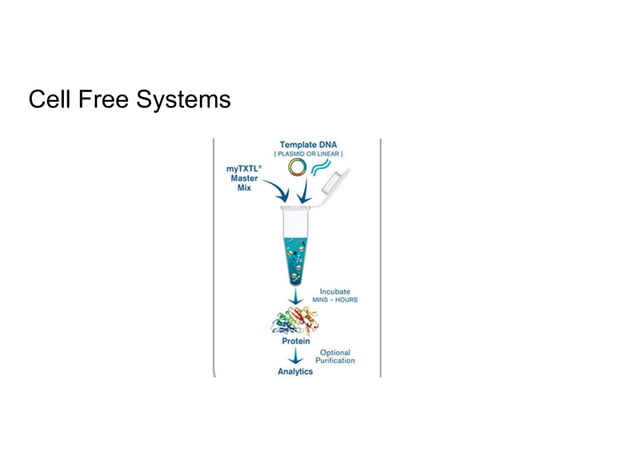 cell-Free Systems.pdf