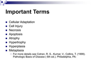 Cell- injury-and-Cell-Death-1.ppt