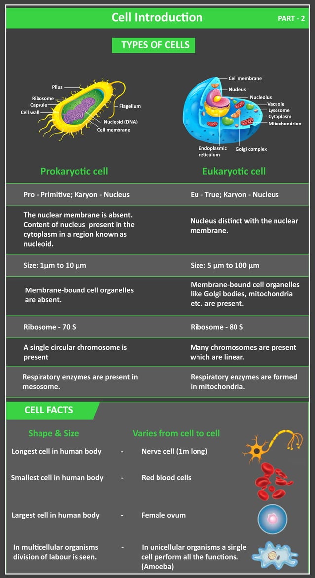Cell-Introduction.pdf | Free Download