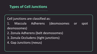 Cell-Junctions (1).pptx