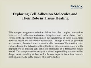 Understanding Cell-Matrix Mechanics: A Sample Biology Assignment ...