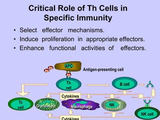 Cell-Mediated Immniyty 3 …………………………..ppt