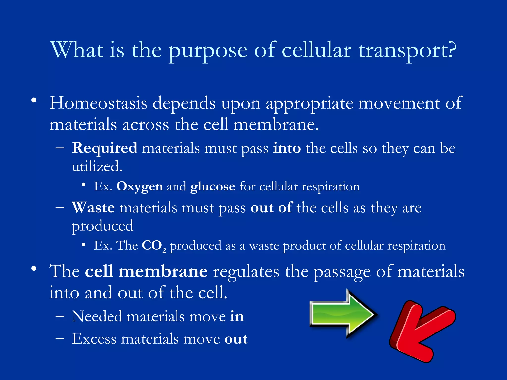 Cell Membrane And Cell Transport Notes New | PPT