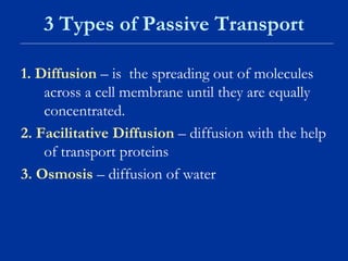 Cell Membrane And Cell Transport Notes New | PPT