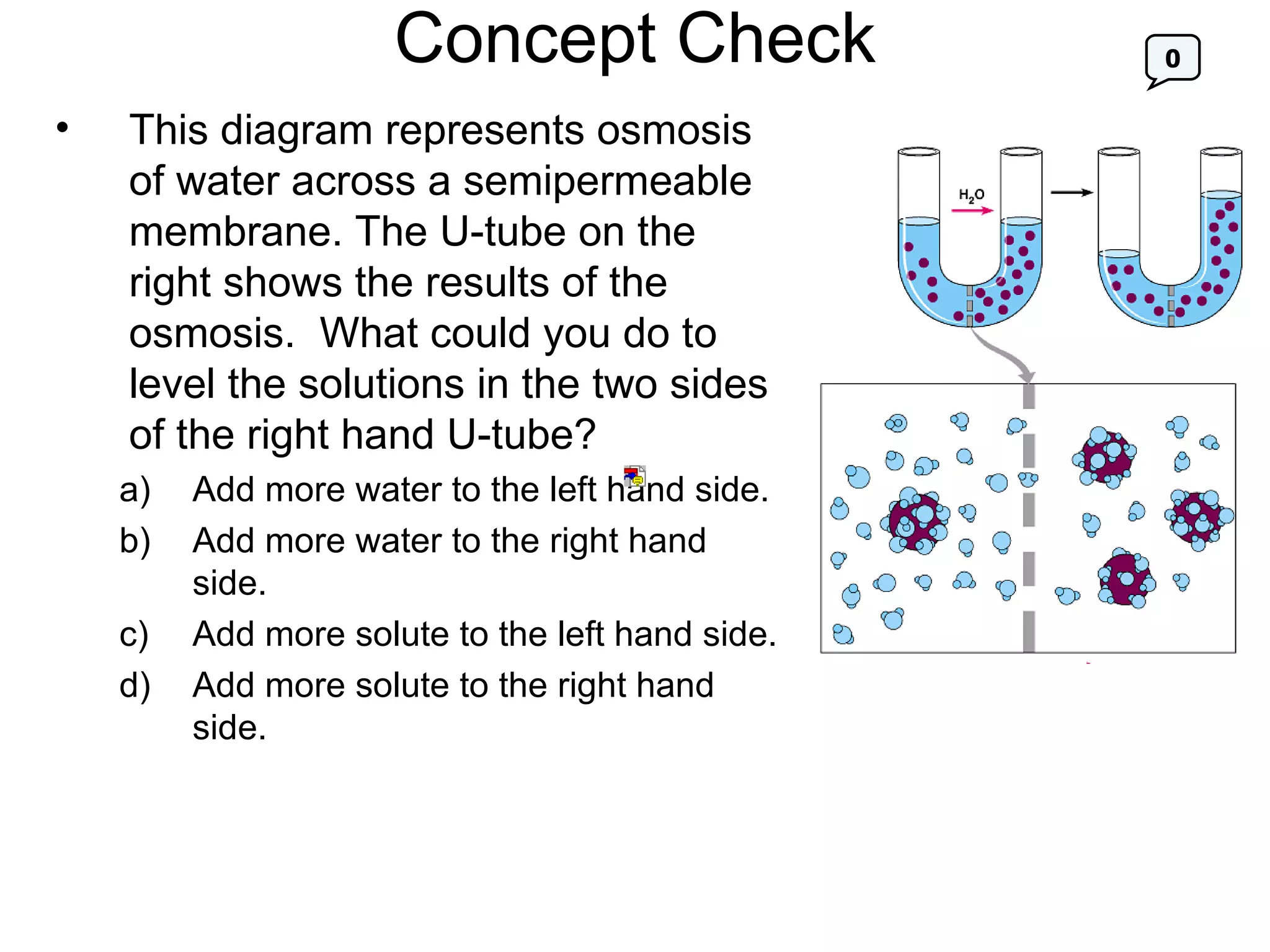 Honors Biology: Cell Membrane ~ Diffusion And Osmosis | PPT