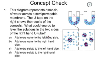 Honors Biology: Cell Membrane ~ Diffusion And Osmosis | PPT
