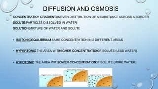 cell-membrane-lesson-ppt (2)_organized (1).pdf
