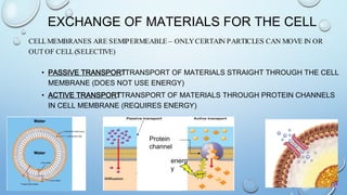 cell-membrane-lesson-ppt (2)_organized (1).pdf